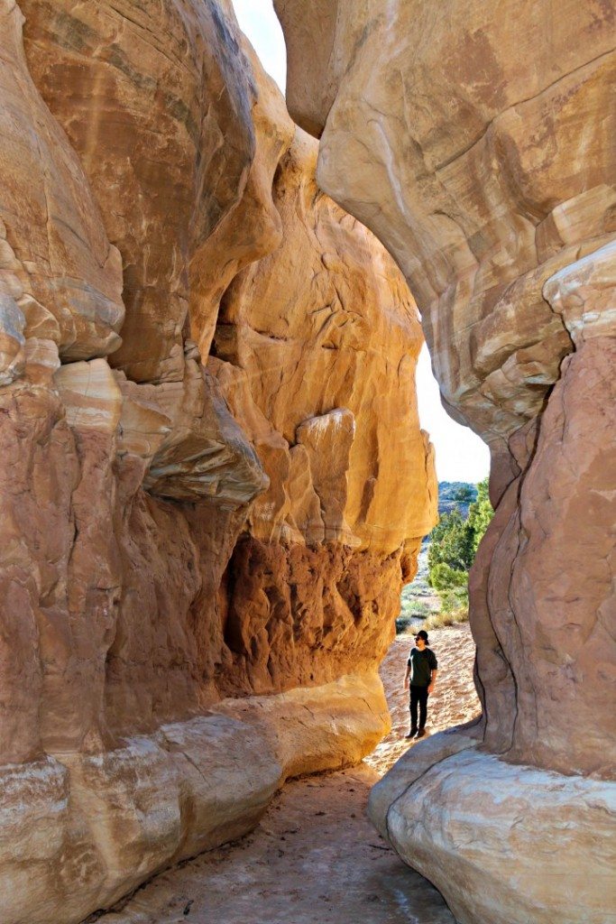 Arizona & Utah Road Trip (Photos) - Horseshoe Bend, Monument Valley ...