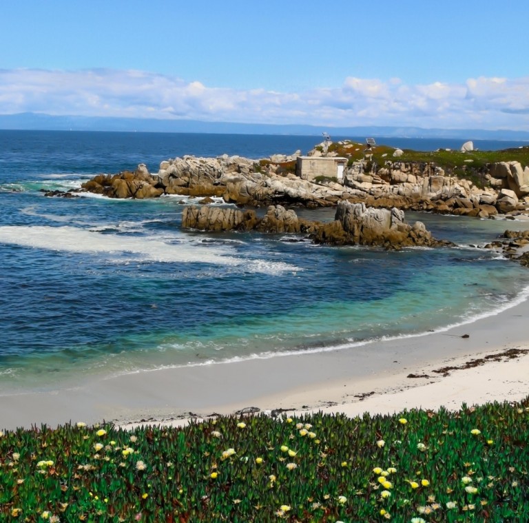 Big Sur Road Trip / Highway 101 - No Clever Title Necessary (Photos ...