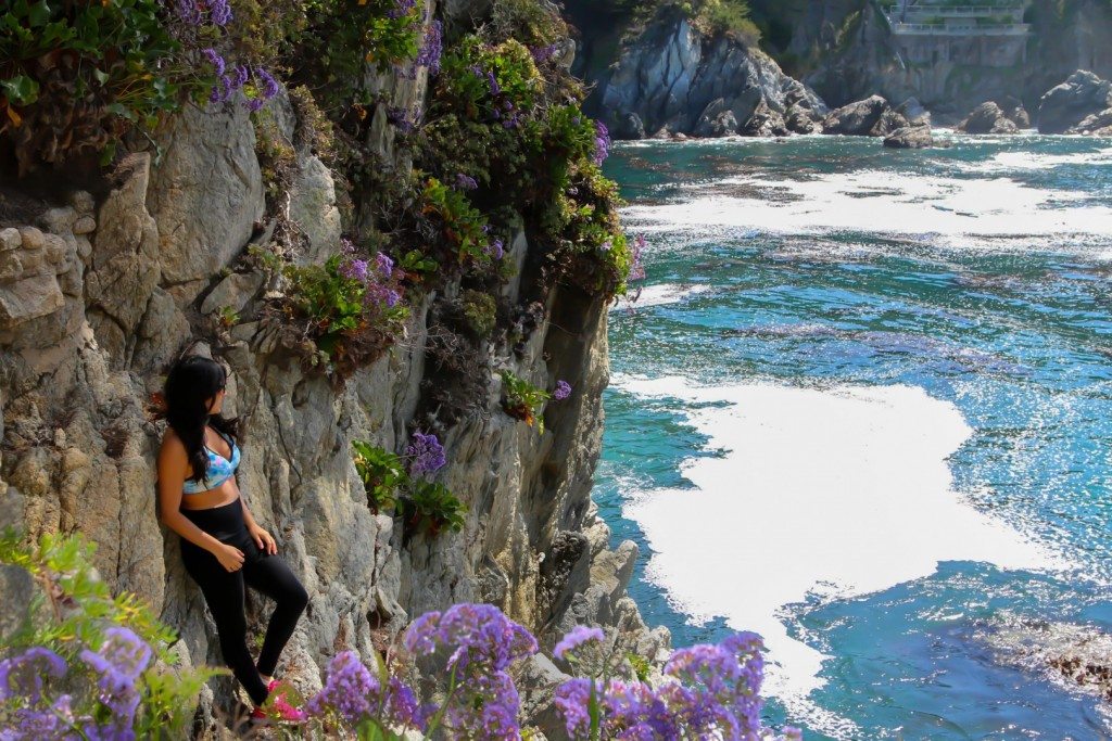 Big Sur Road Trip / Highway 101 - No Clever Title Necessary (Photos ...