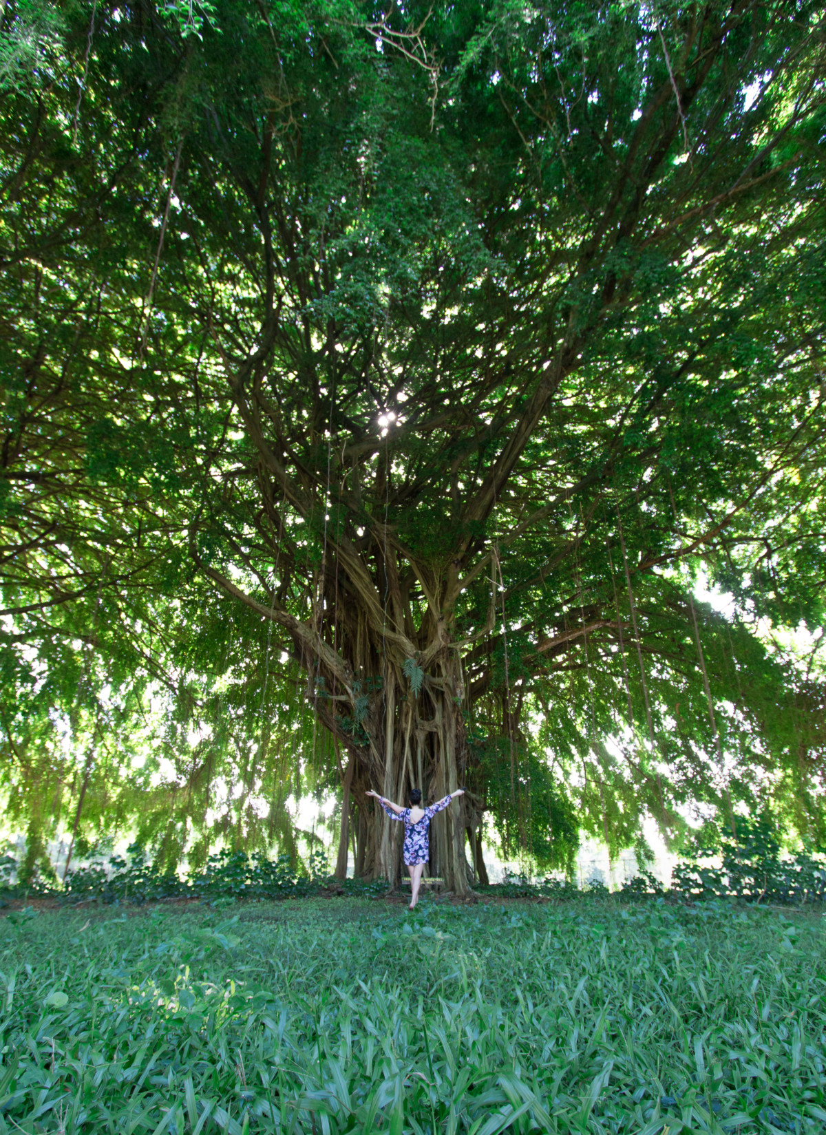 Disney's Moana: Our First Princess Without a Love Interest • TravelBreak